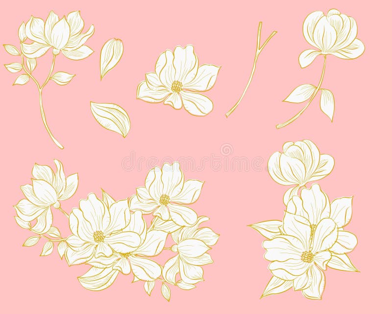 Hand Drawn Gold Magnolia Flower Stock Vector - Illustration of drawing ...