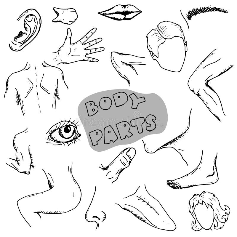 Hand Drawn Body Parts Doodle Stock Vector - Illustration of limb, signs ...
