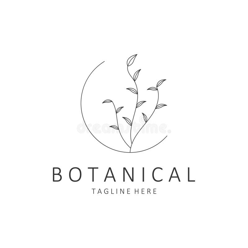 Hand Drawn Botanical Logo Concept Vector Stock Vector - Illustration of ...