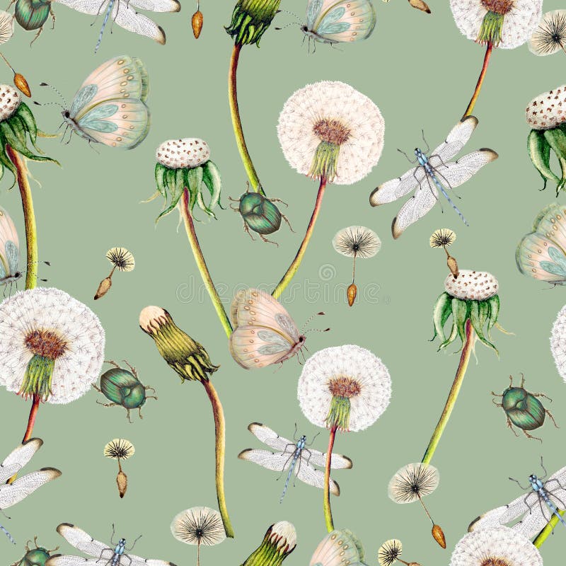 Hand Drawn Botanical Seamless Pattern of Garden Wildflowers,plants ...