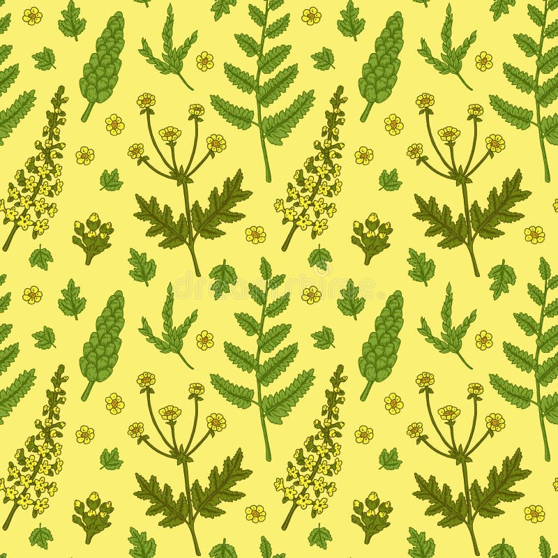 Hand Drawn Botany Seamless Pattern with Field Flowers. Vector ...