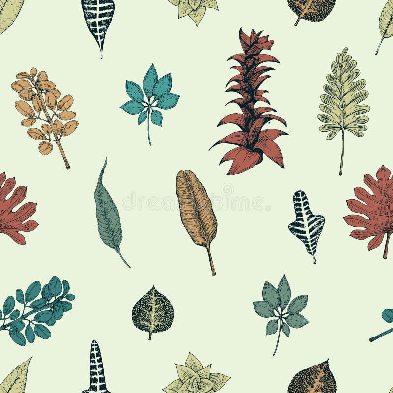 Hand Drawn Botany Vector Seamless Pattern. Vintage Background. Stock ...