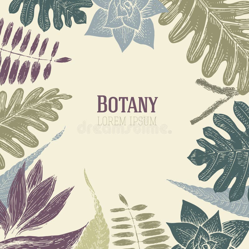 Hand Drawn Botany Vector Seamless Pattern. Vintage Background. Stock ...