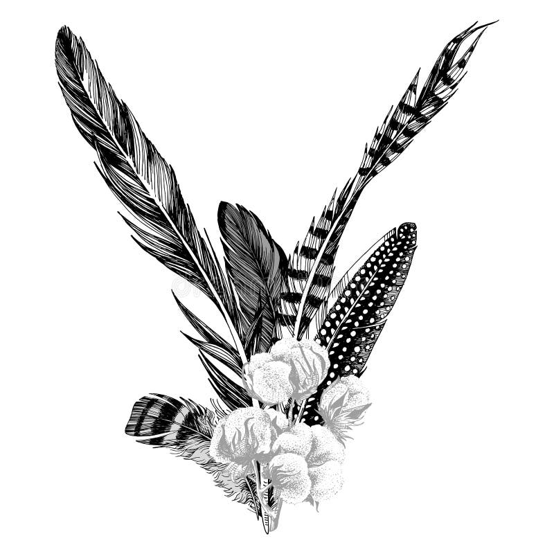 Hand Drawn Bouquet with Feathers and Cotton Branch Stock Vector ...