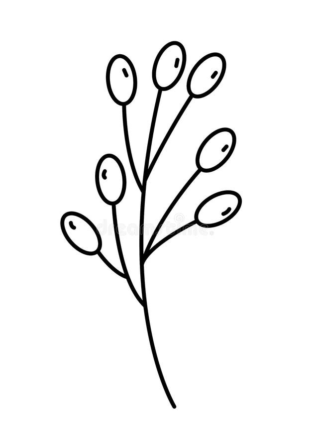 Hand Drawn Branch with Berries Outline Vector Icon. Thin Black Line ...