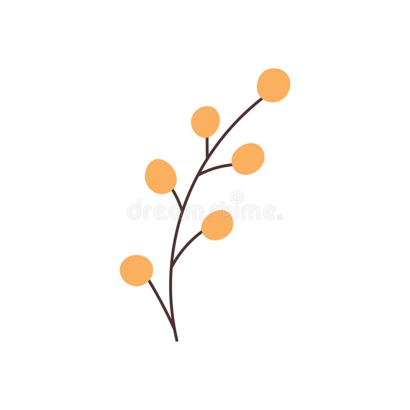 Hand Drawn Branch Element for Your Design Stock Vector - Illustration ...