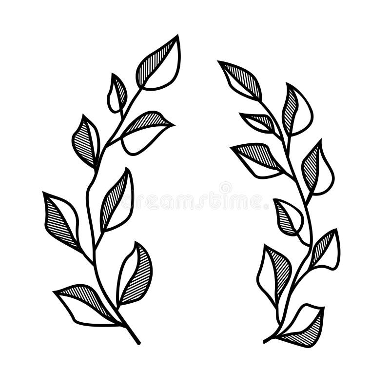 Hand drawn branch leaves stock vector. Illustration of natural - 196921404
