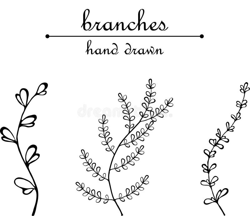 Hand Drawn Branches Doodling Style. Collection Hand Drawn Floral Set ...