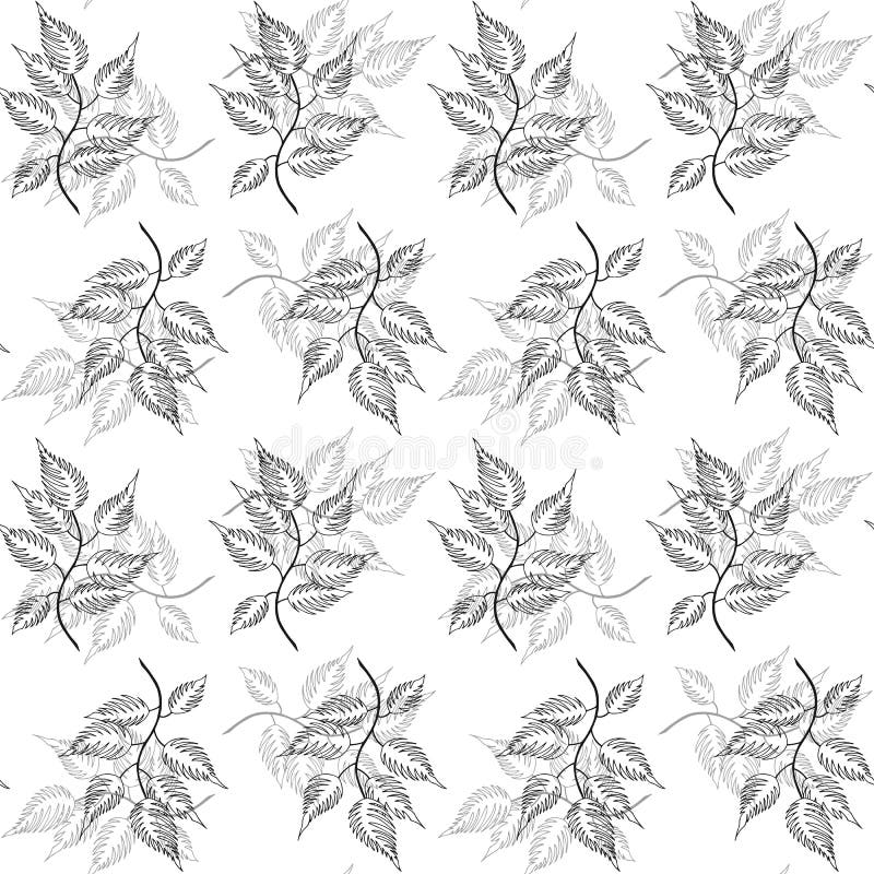 Black and White Leaf Pattern. Vector Illustration. Stock Vector ...