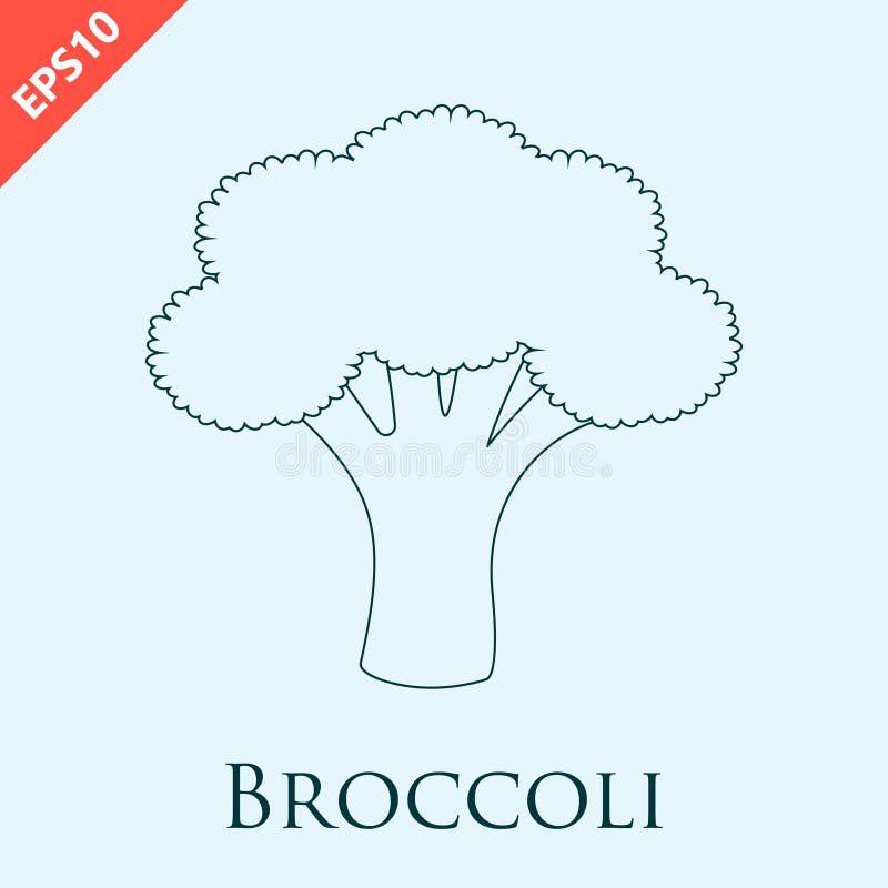 Broccoli Woods Stock Illustrations – 15 Broccoli Woods Stock ...