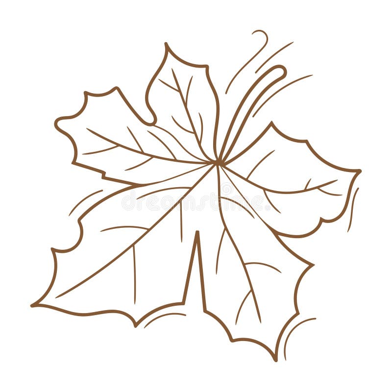 Hand Drawn Brown Maple Leaf Line Art Stock Vector - Illustration of ...