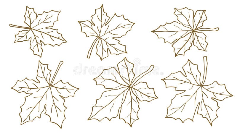 Hand Drawn Brown Maple Leaves Line Art Collection.Vector Illustration ...