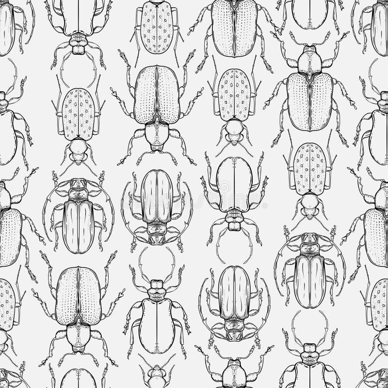 Hand Drawn Bugs in Vintage Style. Seamless Pattern. Beetles Vector ...