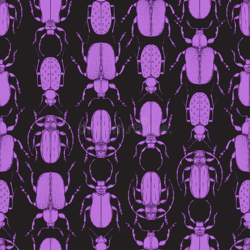 Hand Drawn Bugs in Vintage Style. Seamless Pattern. Beetles Vector ...