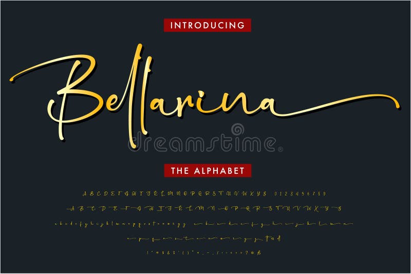 Handwritten Calligraphic Vector Font. Distress Signature Letters ...