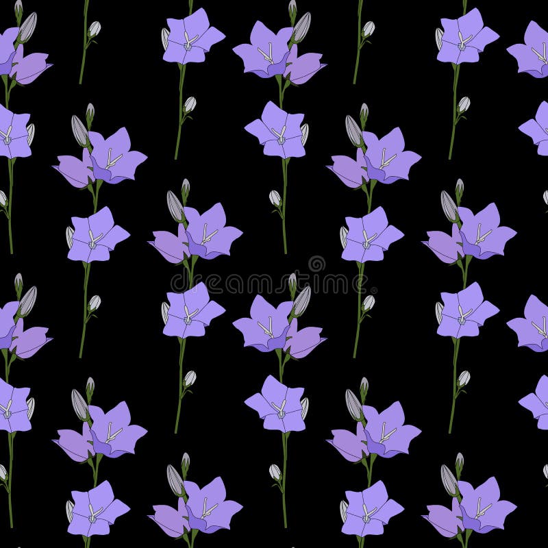 Hand Drawn Campanula Flower Seamless Pattern Background. Vector ...