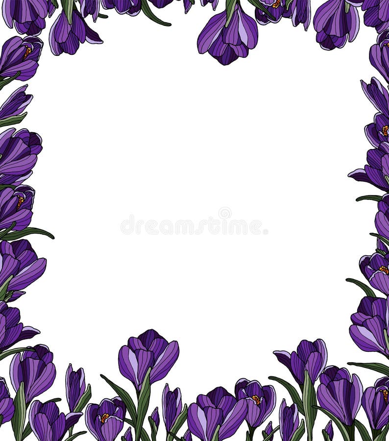 Crocus frame stock vector. Illustration of garden, greeting - 163451618