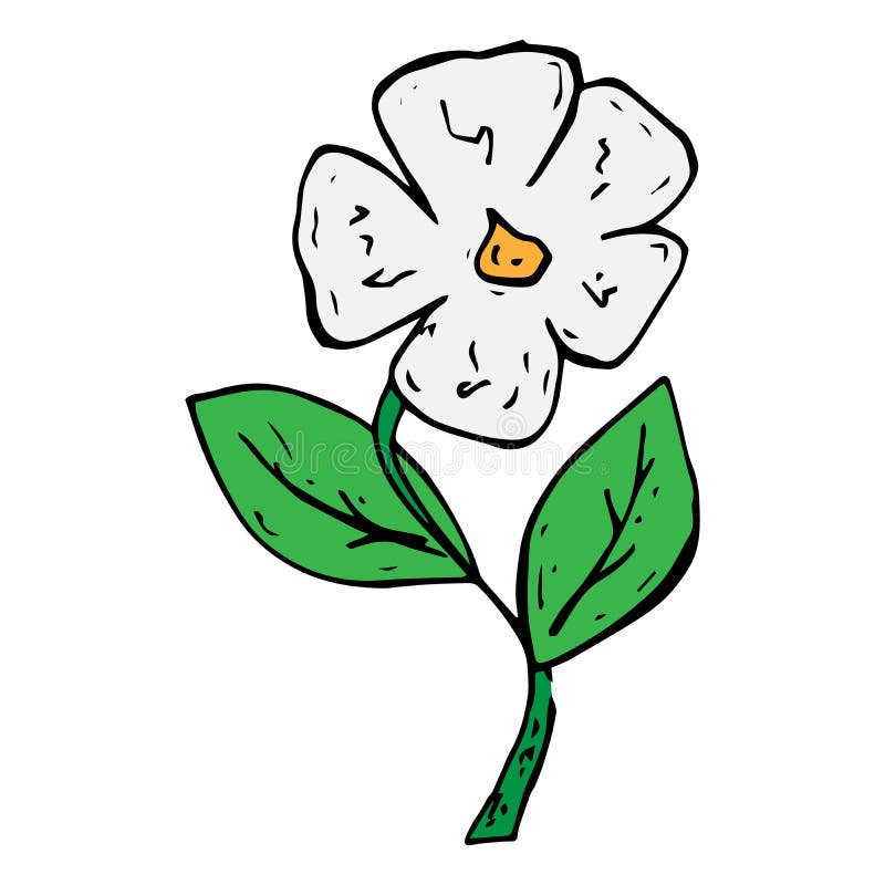Vector Illustration of a White Flower. Hand Drawn Cartoon Beautiful ...