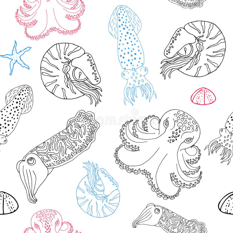 Inkfish Stock Illustrations – 39 Inkfish Stock Illustrations, Vectors ...