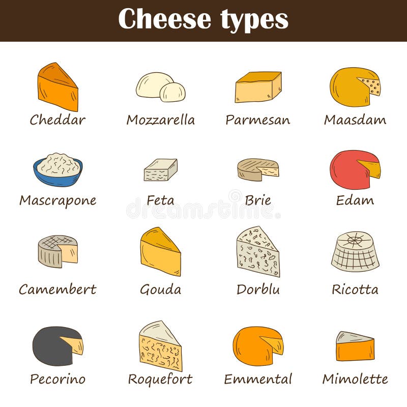 Hand drawn cheese types stock vector. Illustration of feta - 68600499