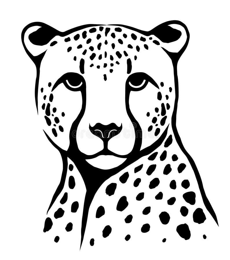 Cheetah Face Stock Illustrations – 6,667 Cheetah Face Stock ...