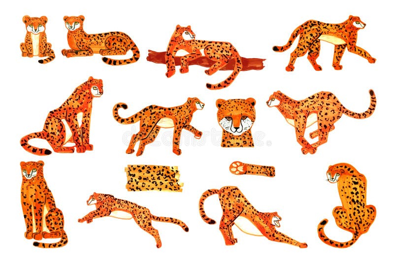 Cheetah Collection Stock Illustrations – 3,918 Cheetah Collection Stock ...
