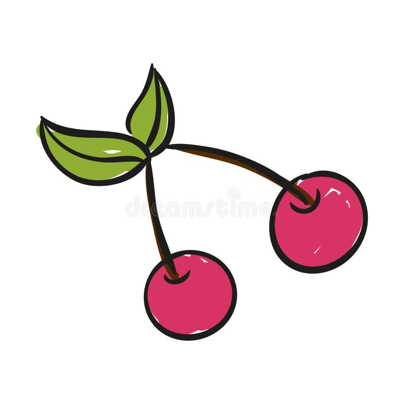 Hand Drawn Cherries stock illustration. Illustration of design - 69658267