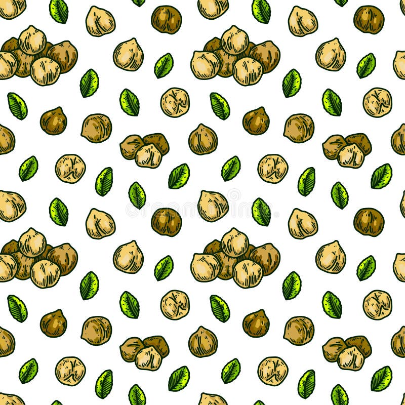 Hand Drawn Chickpeas Seamless Pattern. Vector Illustration in Colored ...