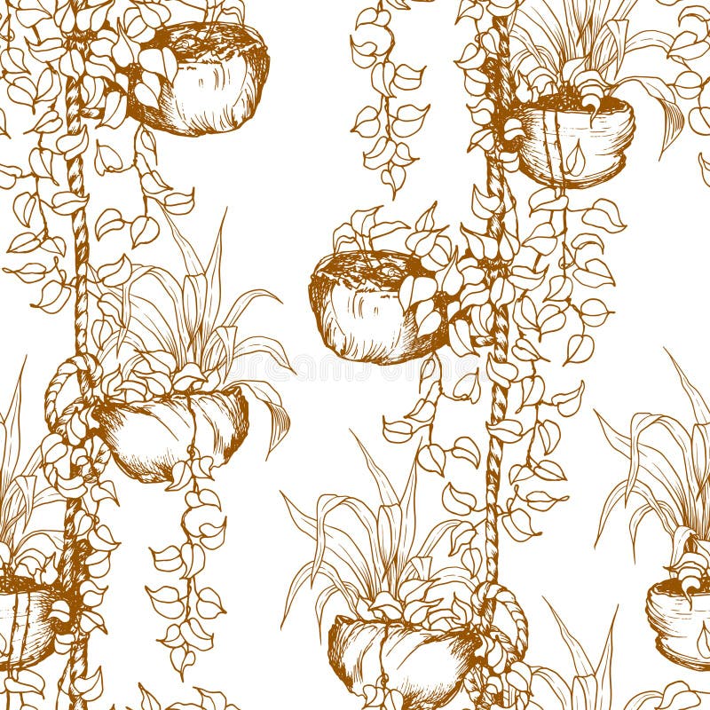 Hand Drawn Climbing Plants in Pots. Seamless Pattern on White ...