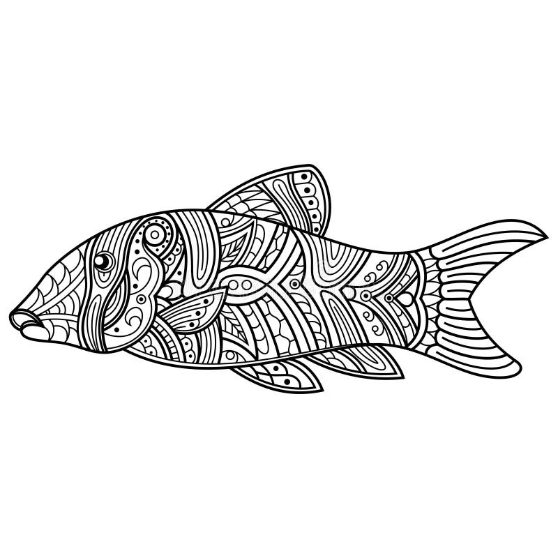 Hand Drawn of Clown Loach in Zentangle Style Stock Vector ...