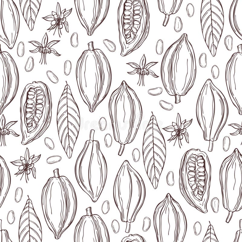 Cocoa bean. Vector pattern stock vector. Illustration of gourmet ...