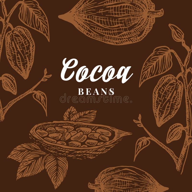 Hand Drawn Cocoa Beans Card. Abstract Vector Cacao Sketch Background ... Hand Drawn Cocoa Beans Card. Abstract Vector Cacao Sketch Background ...