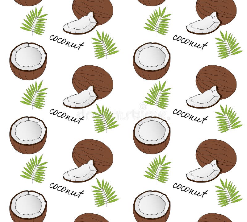 Hand Drawn Coconut Seamless Pattern. Stock Vector - Illustration of ...