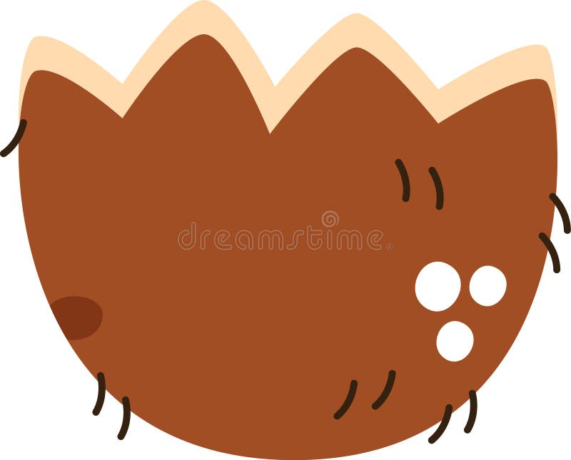 Hand Drawn Coconut Shell stock illustration. Illustration of coco ...