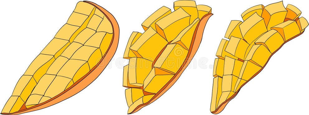 Hand Drawn Colored Mango. Tropical Fruit Vector Illustration Stock ...