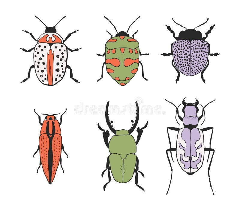Hand Drawn Colorful Bug Set Stock Vector - Illustration of fauna ...