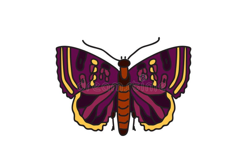 Colorful Butterfly Isolated on White Background. Hand-drawn ...