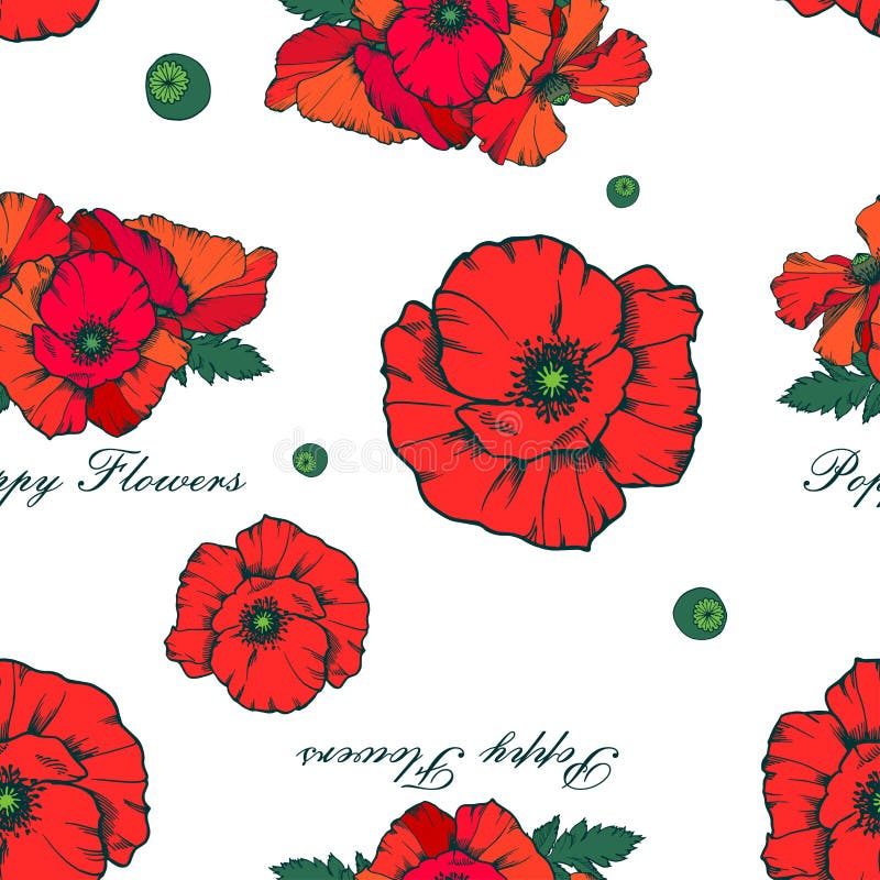 Hand Drawn Colorful Vector Seamless Illustration with Red Poppy. Stock ...