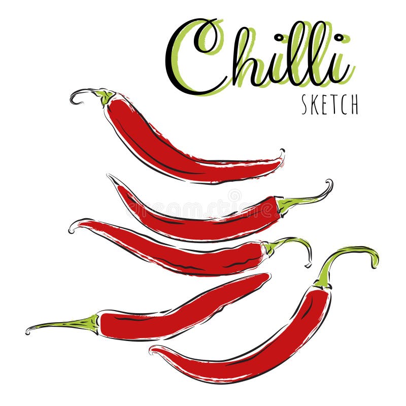 Chilli Rough Stylized Print. Vector Logo. Stock Vector - Illustration ...