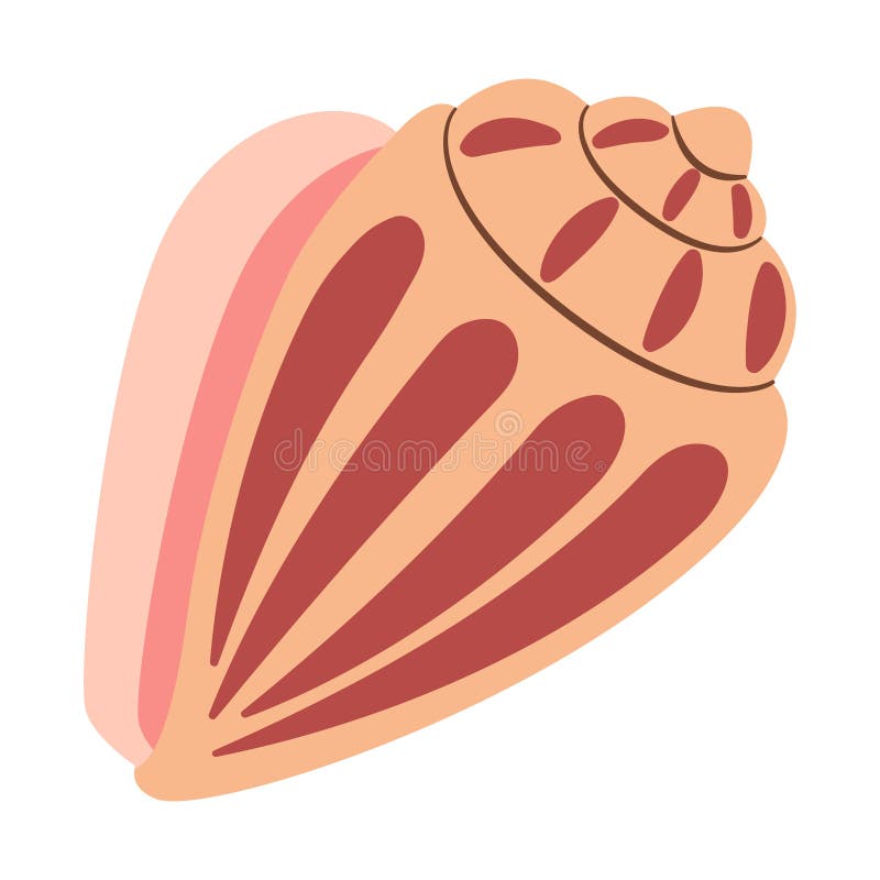 Seashell Hand Drawn. Cartoon Style Flat Illustration Isolated on White ...