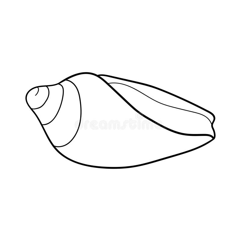 Cone Shell Vector Illustration Transparent Background Stock Vector ...