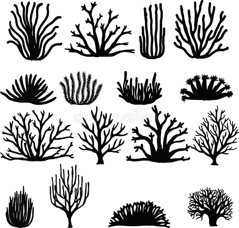 Coral Formations Vector Silhouettes Stock Vector - Illustration of ...