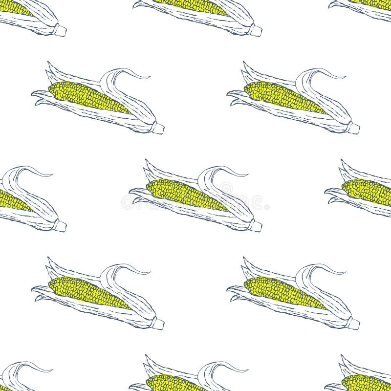 Corn Cob Seamless Pattern stock vector. Illustration of gourmet - 143372762
