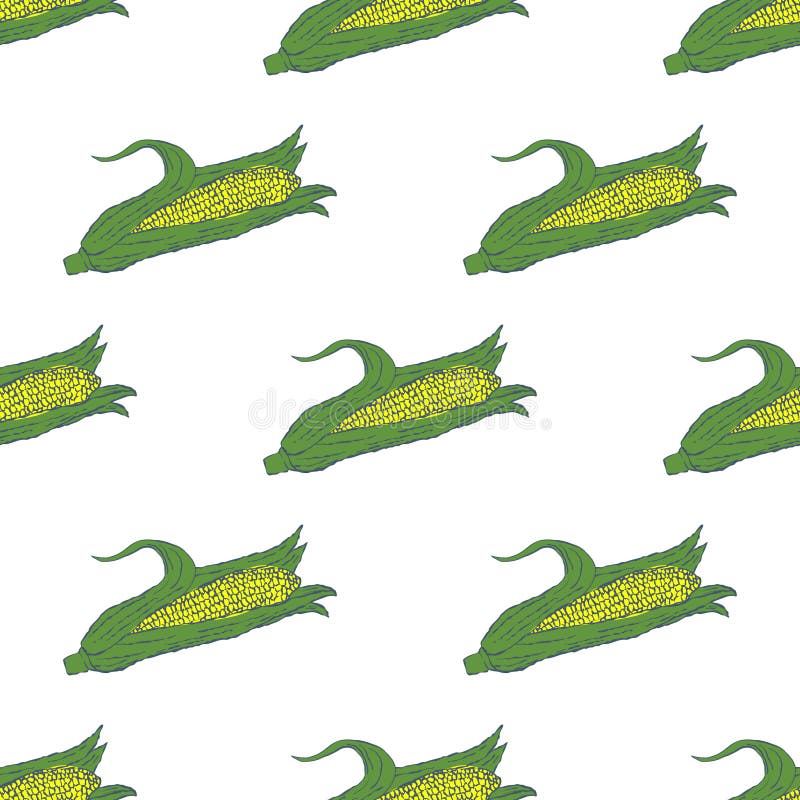 Hand Drawn Corn Seamless Pattern Background. Vector Stock Vector ...