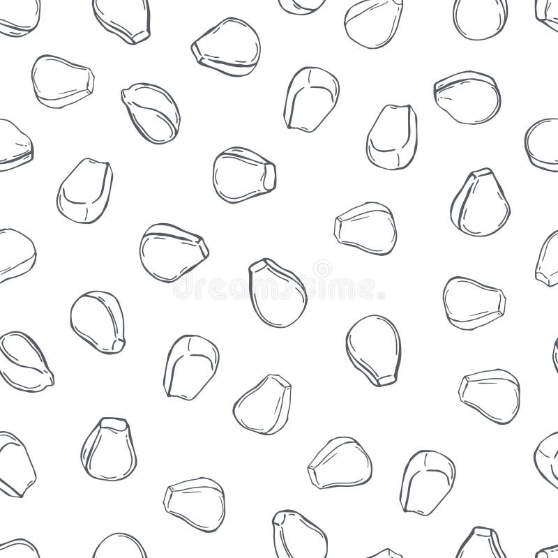 Corn Seeds Stock Illustrations – 3,976 Corn Seeds Stock Illustrations ...