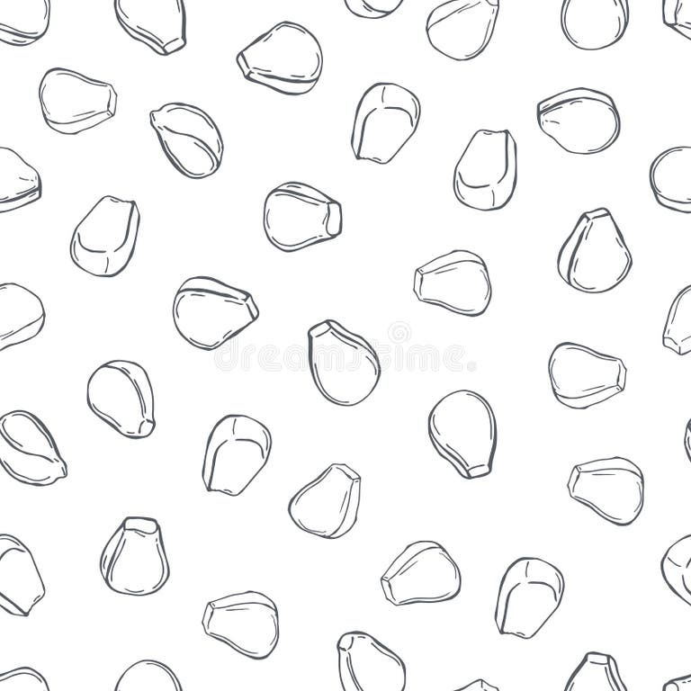Corn Seeds Stock Illustrations – 7,495 Corn Seeds Stock Illustrations ...