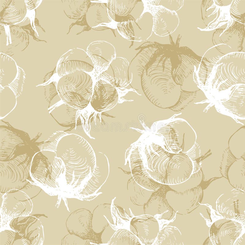 Hand Drawn Cotton Plant Seamless Stock Vector - Illustration of ...