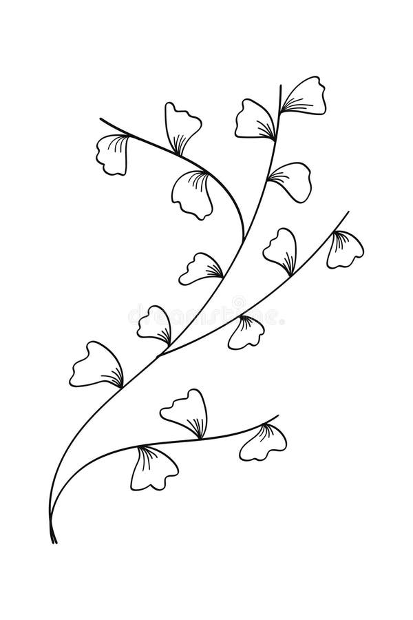 Hand Drawn Creeper Plant Line Art .Vector Illustration Stock Vector ...