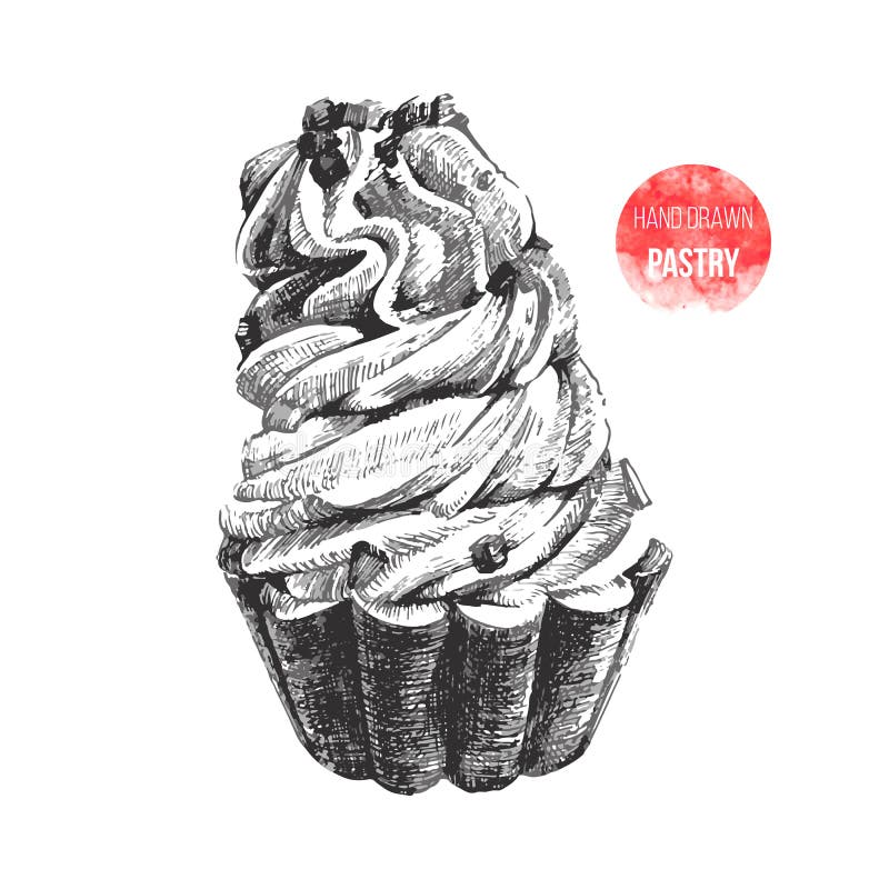 Hand drawn cupcake stock vector. Illustration of drawn - 62731512