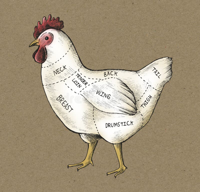 Chicken Cut Chart Stock Illustrations – 334 Chicken Cut Chart Stock ...